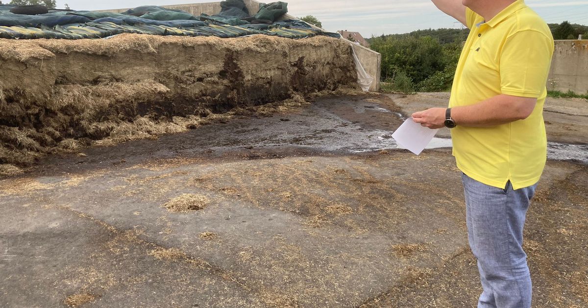 Wie die Kirche zu den Menschen kommt | LokalDirekt