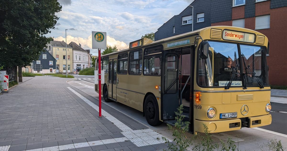 TMS öffnet Museum und bietet Rundfahrten an | LokalDirekt