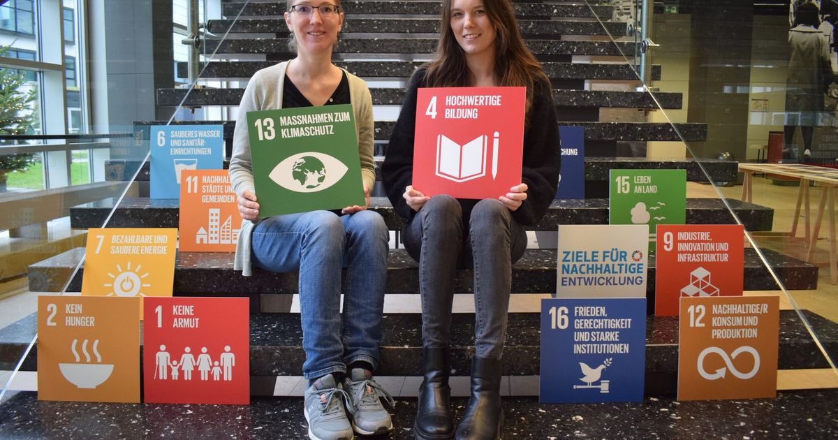 Stadt für SDG Innovation Award nominiert | LokalDirekt